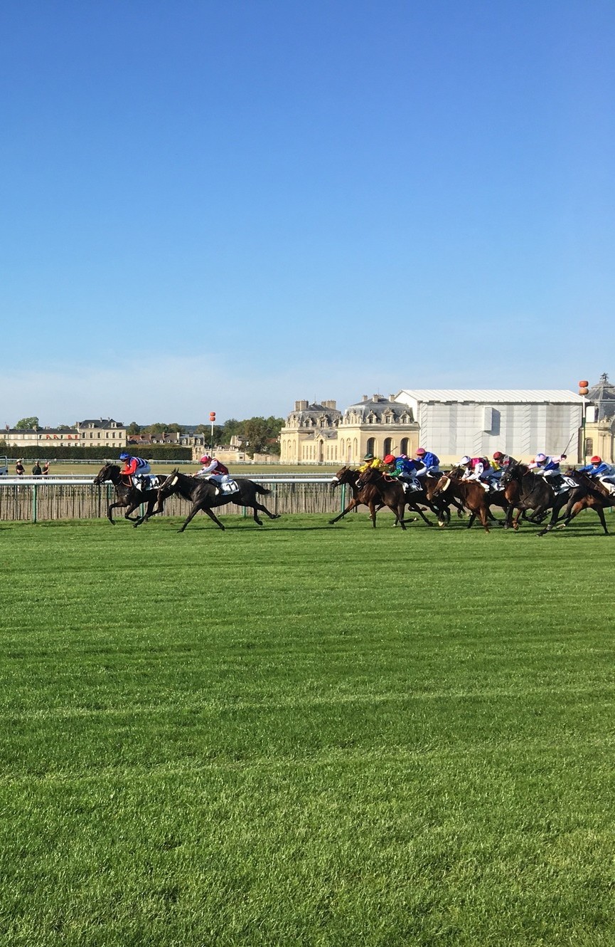 Chantilly Racecourse - Chantilly Senlis Tourism